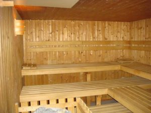 The 16 Best Saunas in Zurich | Zurich10